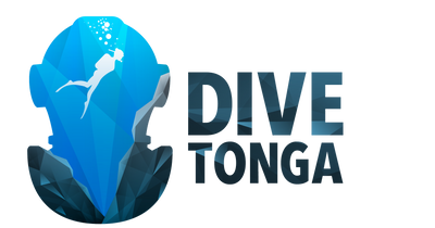 Dive Tonga | Scuba Diving in Tonga | Experience the magic of Scuba ...