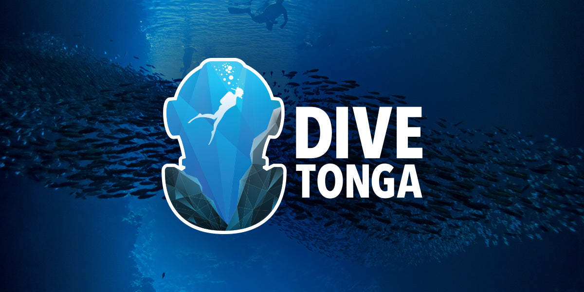 Dive Tonga | Scuba Diving in Tonga | Experience the magic of Scuba ...