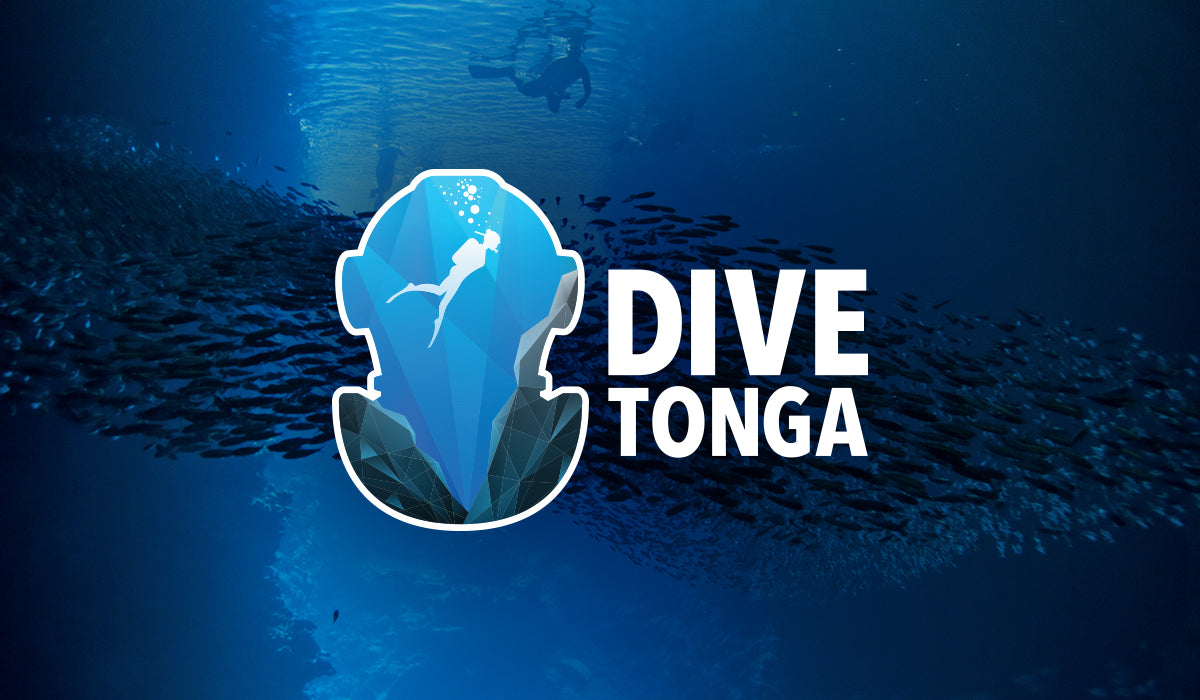 Dive Tonga | Scuba Diving in Tonga | Experience the magic of Scuba ...