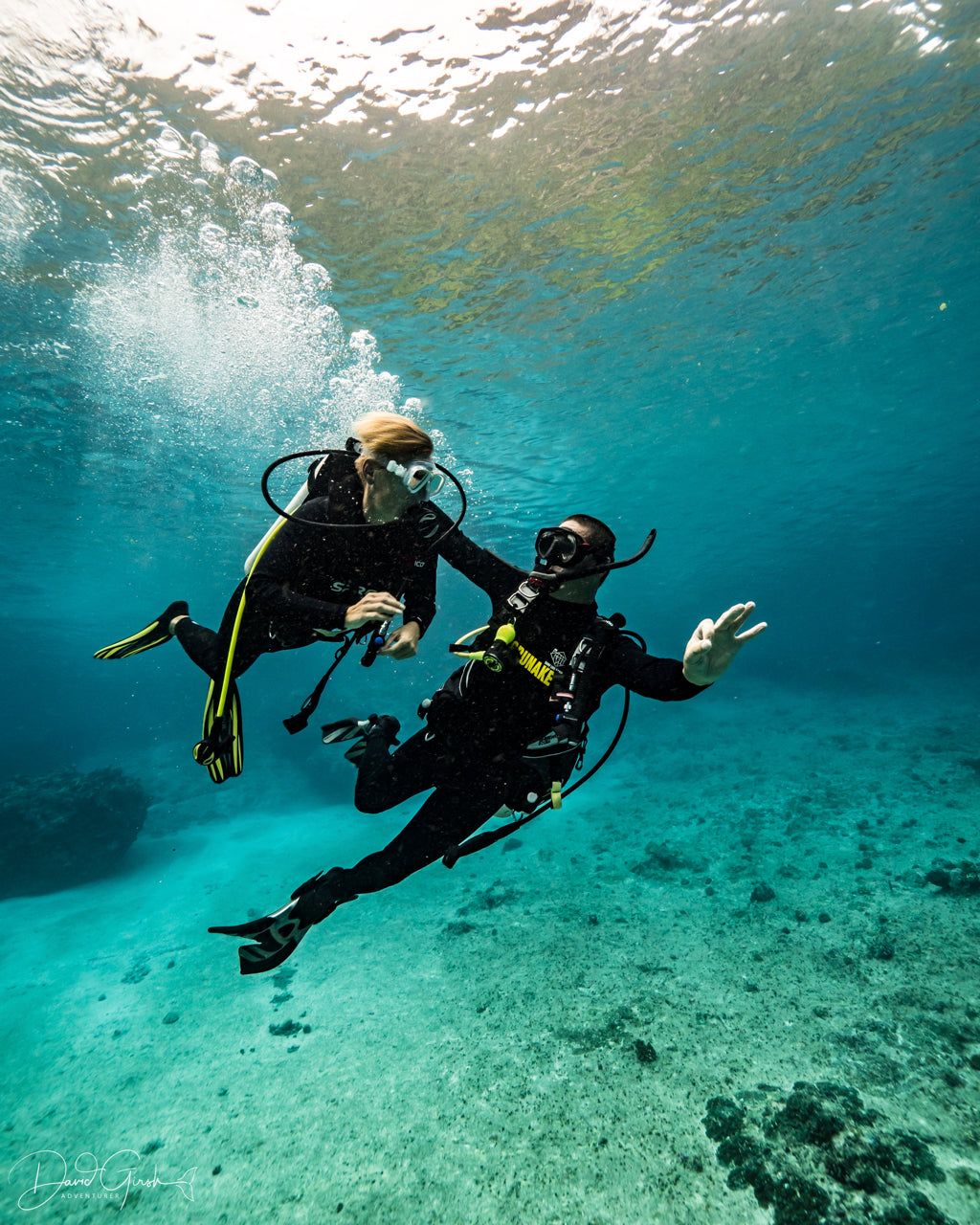 Try Dive | Dive Tonga