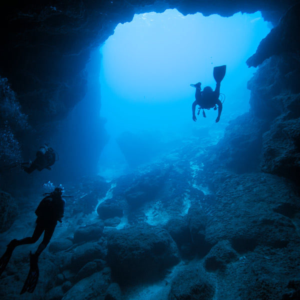 PADI Dive Courses in Tonga | Dive Tonga